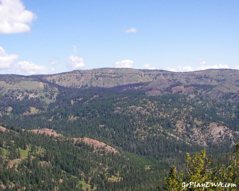 Photos: Pacific Northwest Backroad Adventures Divide Ridge 4W613 Run ...